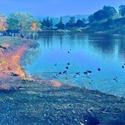 ED R. LEVIN COUNTY PARK - 860 Photos & 187 Reviews - 3100 Calaveras Rd ...