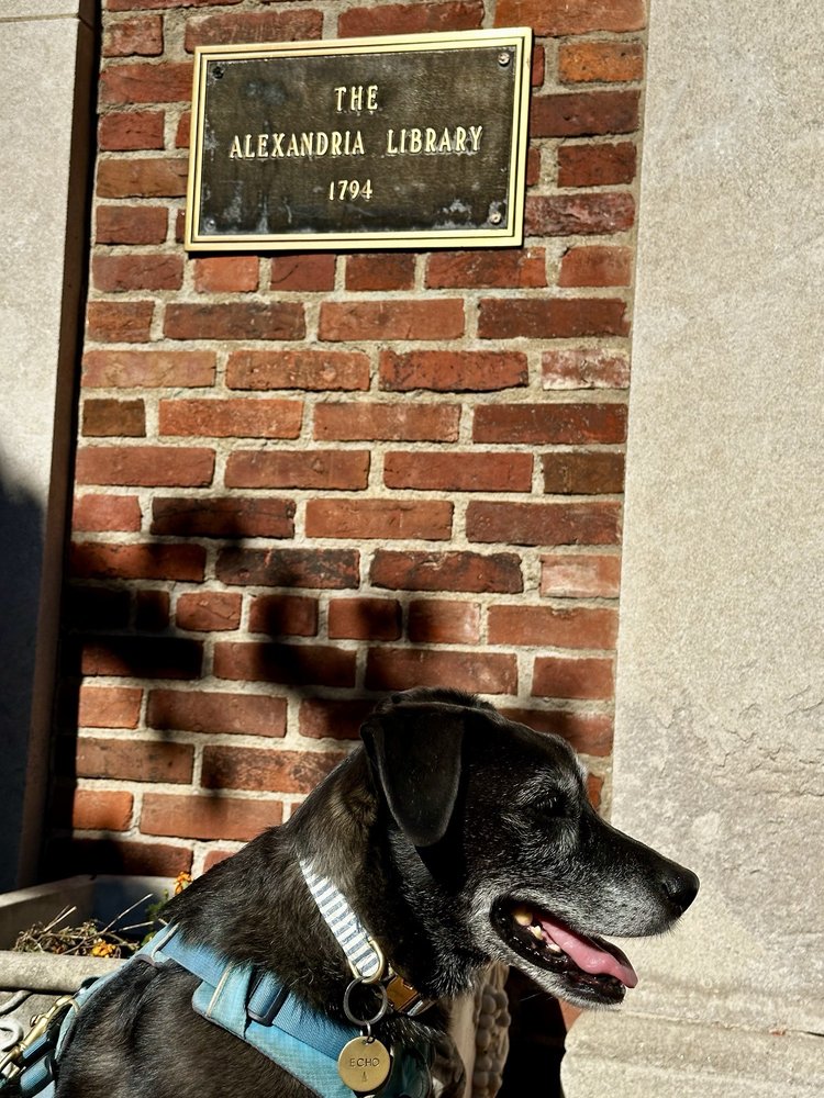 KATE WALLER BARRETT BRANCH - ALEXANDRIA LIBRARY - Updated March 2025 ...