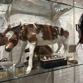 THE EVOLUTION STORE - Updated October 2025 - 325 Photos & 193 Reviews ...