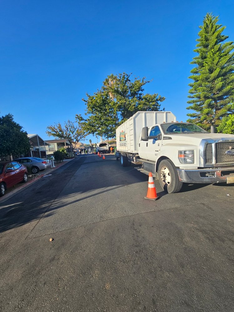 PRODIGY WORKS TREE SERVICE - 306 Photos & 97 Reviews - Concord ...