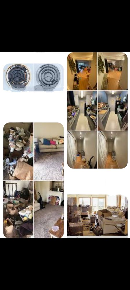 SHELLS CLEANING - Updated April 2024 - Request a Quote - Colonial ...