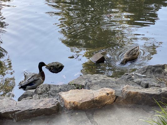 SMYRNA COMMUNITY CENTER - Updated November 2025 - 39 Photos & 10 ...