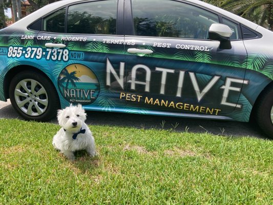 NATIVE PEST MANAGEMENT - Updated December 2025 - 115 Photos & 204 ...