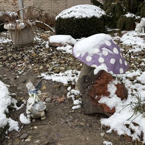 MEDINA COUNTY DISTRICT LIBRARY - MEDINA LIBRARY - Updated August 2025 ...