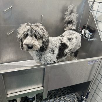 RILEY’S RANCH PET RESORT - Updated December 2025 - 13 Photos & 12 ...