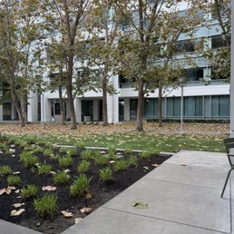 FLOURISH - Updated July 2025 - 54 Photos & 13 Reviews - 6101 Bollinger ...