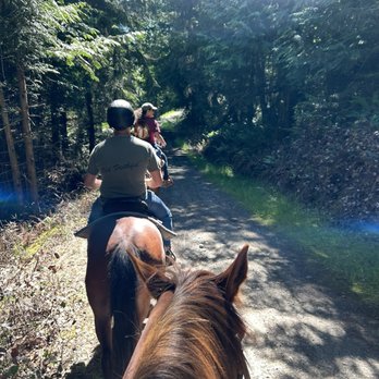 RED HAWK STABLES - Updated October 2025 - 22 Photos & 16 Reviews - 1445 ...