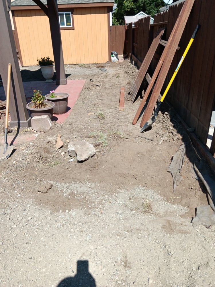 ALISON ZOE TREES SERVICE - 32 Photos - Lathrop, California - Tree ...