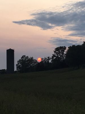 THE ABBEY OF GETHSEMANI - 29 Photos - 3642 Monks Rd, Trappist, KY - Yelp