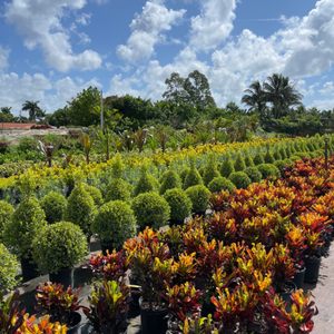 AMERICAN FASTENERS - Updated February 2025 - 20 Photos - 7323 NW 66th ...