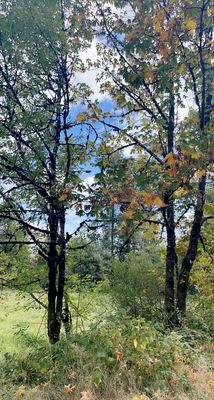 FORT BORST PARK - Updated May 2026 - 17 Photos - Fort Borst Park Rd ...