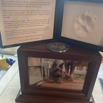 ALL PETS CLUB - Updated December 2025 - 69 Photos & 63 Reviews - 479 E ...