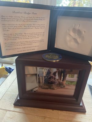 ALL PETS CLUB - Updated May 2026 - 69 Photos & 70 Reviews - 479 E Main ...