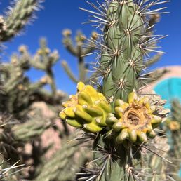 AMIGO CAFE - Updated December 2024 - 385 Photos & 416 Reviews - US Hwy ...