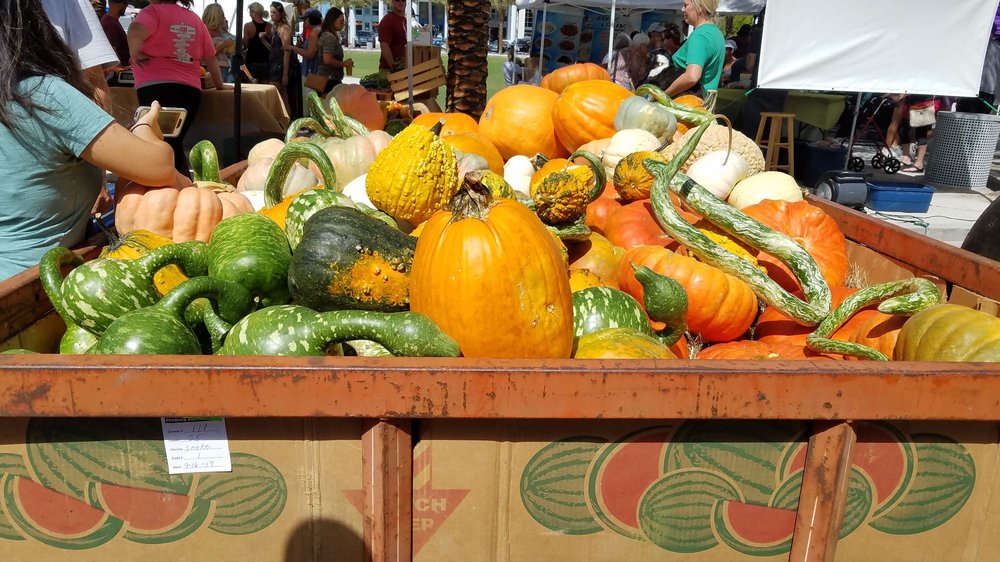 SEASIDE FARMER’S MARKET - 15 Photos & 11 Reviews - 2235 E County Hwy ...