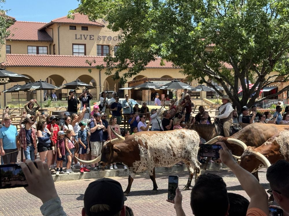 COWBOY CHANNEL BAR - Updated December 2025 - 14 Reviews - 112 E ...