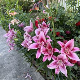 THAI THAI KITCHEN STANWOOD - Updated October 2025 - 76 Photos & 92 ...