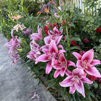 THAI THAI KITCHEN STANWOOD - Updated September 2025 - 76 Photos & 91 ...