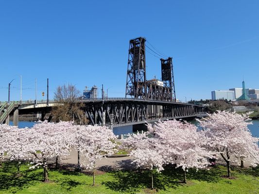 STEEL BRIDGE - Updated March 2025 - 119 Photos & 39 Reviews - 1 NE ...