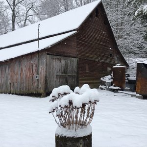 HELTON CREEK CAMPGROUND - Updated October 2025 - 2047 Helton Rd, Grassy ...