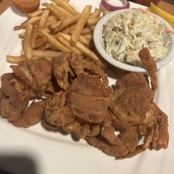 BILLFISH GRILL & BAR - Updated June 2024 - 82 Photos & 102 Reviews ...