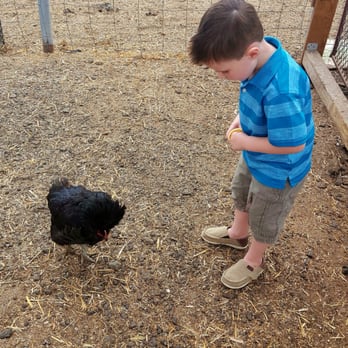 PEZZA FARM AND GARDEN CENTER - Updated January 2025 - 64 Photos & 16 ...