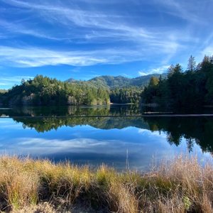 LAKE LAGUNITAS - 95 Photos & 27 Reviews - Hiking - Lagunitas Dam Rd ...