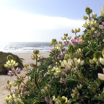 KEHOE BEACH - Updated October 2025 - 107 Photos & 35 Reviews - Point ...