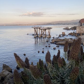 EL TORITO - Updated November 2024 - 1175 Photos & 2029 Reviews - 600 ...