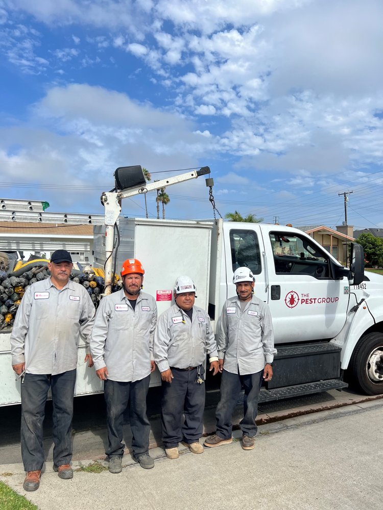 THE PEST GROUP - Updated August 2024 - 47 Photos & 44 Reviews - 2363 W ...
