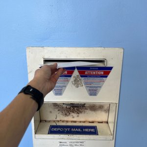 THE UPS STORE - Updated April 2026 - 23 Photos - 3879 Us-301, Riverview ...
