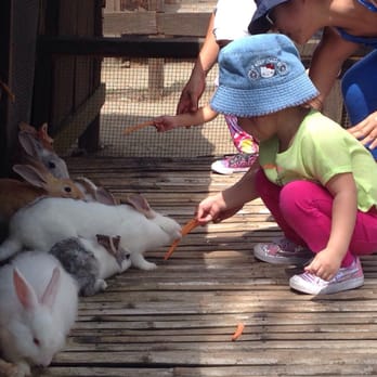 STA. ELENA FUN FARM - Updated October 2025 - 22 Photos - Cabuyao, Santa ...