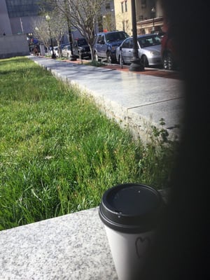 MOULTRIE COURTHOUSE - Updated December 2025 - 13 Photos & 24 Reviews ...