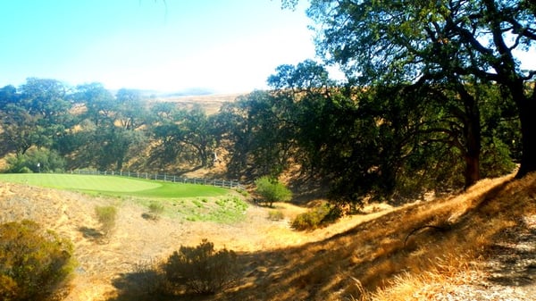 CALLIPPE PRESERVE TRAIL - Updated October 2025 - Happy Valley Road And ...