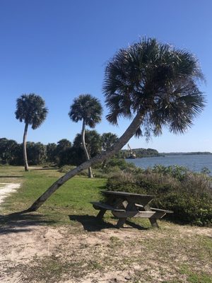 TURTLE MOUND - Updated April 2025 - 7465 S Atlantic Ave, New Smyrna ...