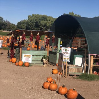 BIG JIM FARMS - Updated May 2026 - 95 Photos & 17 Reviews - 3521 Rio ...