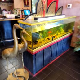 FLAMINGO PALACE - Updated July 2025 - 186 Photos & 366 Reviews - 350 E ...