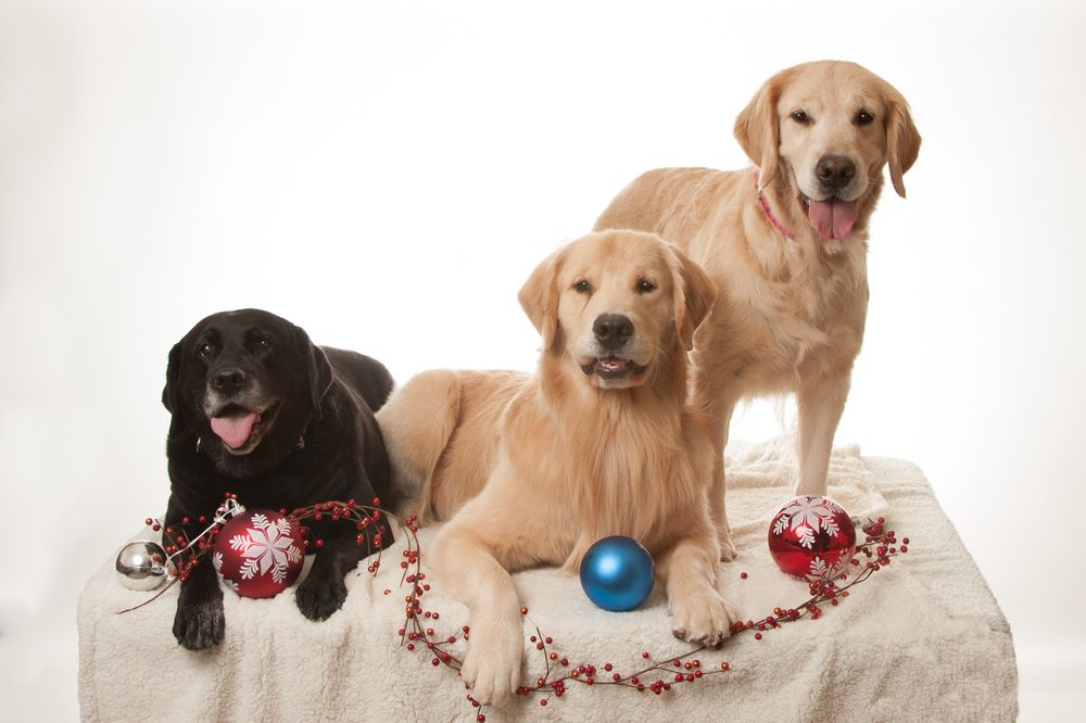 FOOTHILL FIRE PROTECTION - 21 Photos & 17 Reviews - 4000 Alvis Ct ...