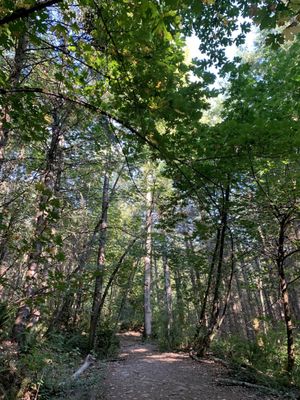 POO POO POINT - CHIRICO TRAIL - Updated October 2024 - 449 Photos & 161 ...