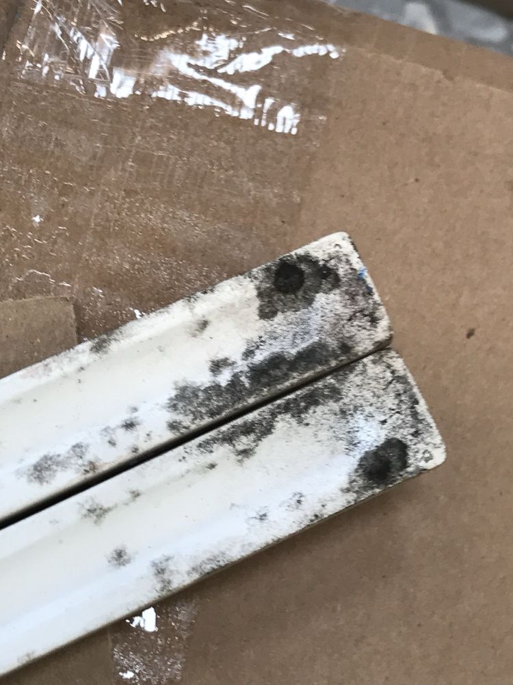 WALKER ZANGER - Updated October 2025 - 29 Reviews - 16719 Schoenborn St ...