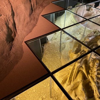 MAYBORN MUSEUM - Updated November 2025 - 196 Photos & 76 Reviews - 1300 ...