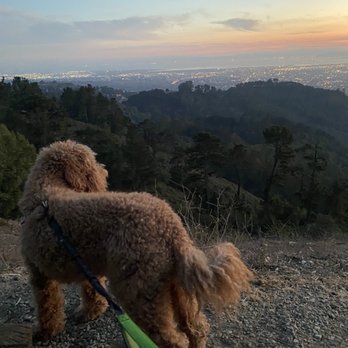 BERKELEY FIRE TRAILS - Updated September 2025 - 459 Photos & 109 ...