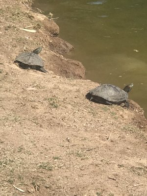 FORT LOWELL PARK - Updated December 2025 - 29 Photos & 10 Reviews ...