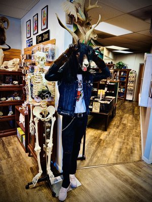 THE GOLDEN CURIOSITY SHOP - Updated May 2026 - 58 Photos & 10 Reviews ...