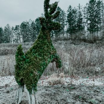 BILL YECK PARK - Updated December 2025 - 135 Photos & 12 Reviews - 2230 ...