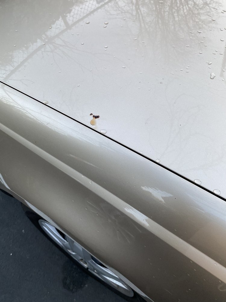 SHELL - Updated July 2025 - 15 Photos & 25 Reviews - 1599 W El Camino ...