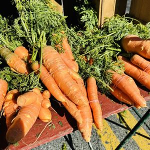 HEYSER FARMS - Updated June 2025 - 45 Photos & 47 Reviews - 14526 New ...