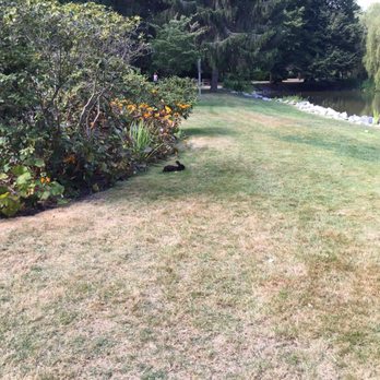 MINORU PARK - 128 Photos & 25 Reviews - 7191 Granville Ave, Richmond ...