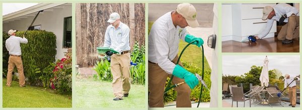 GREEN FLASH PEST & TERMITE CONTROL - Updated October 2025 - 25 Photos ...