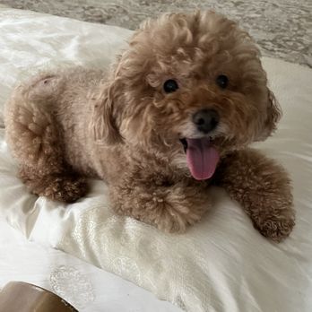 TWO RIVERS ANIMAL HOSPITAL - Updated January 2026 - 21 Photos & 27 ...